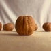 Walnut in Shell, Premium Organic Walnuts in Shell. - Etsy
