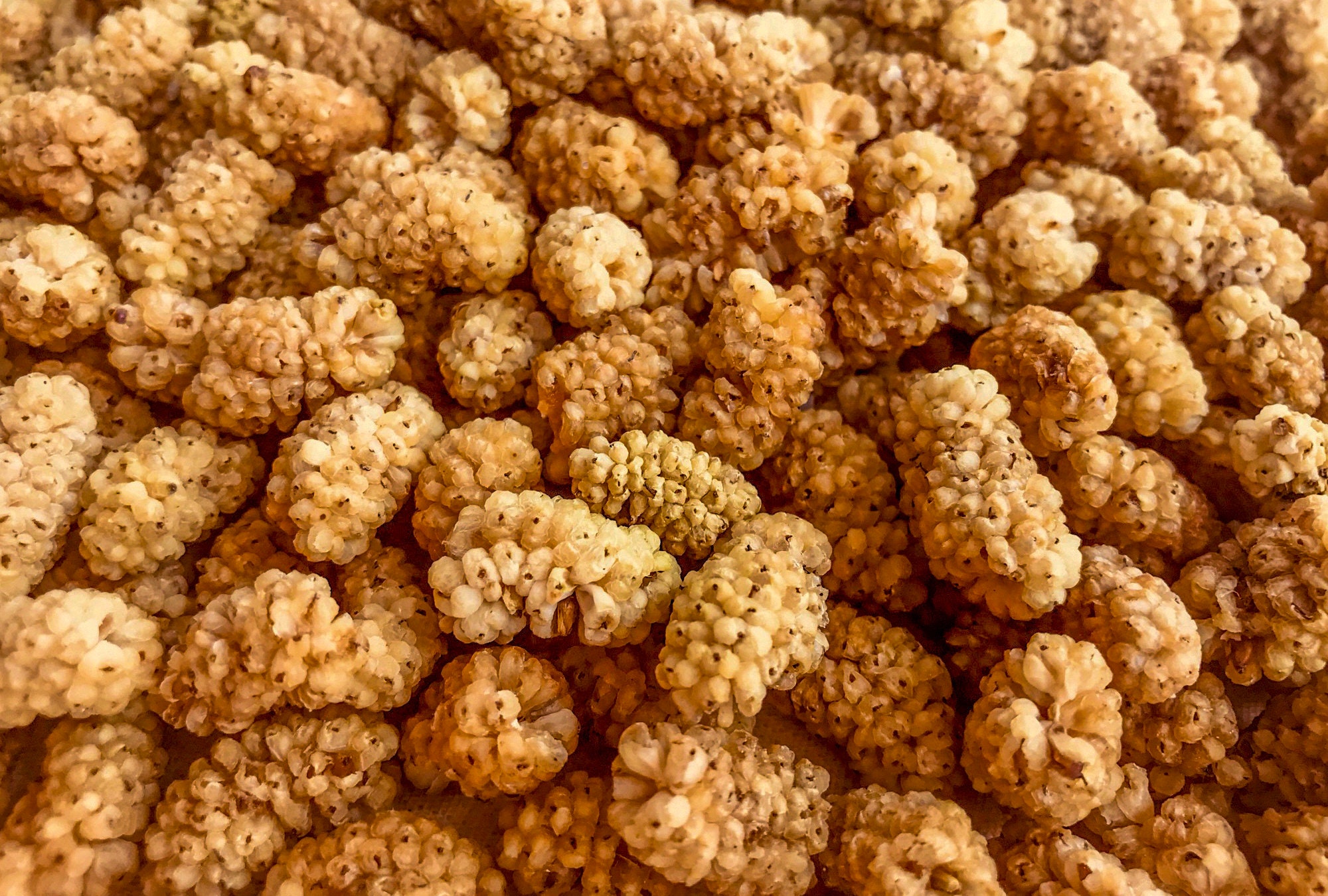 Organic Dried White Mulberry, Natural Sun Dried White Mulberries, Morus ...