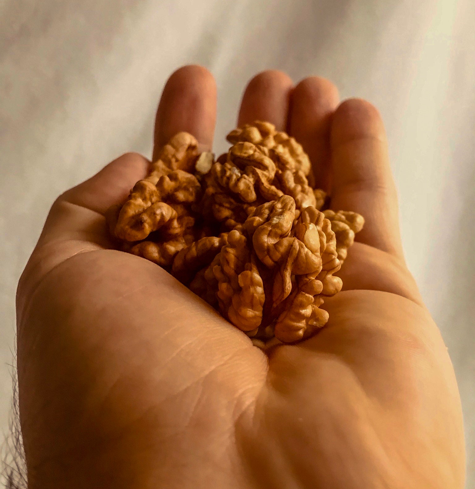 Walnut Kernel, Organic Walnuts Kernel - Etsy