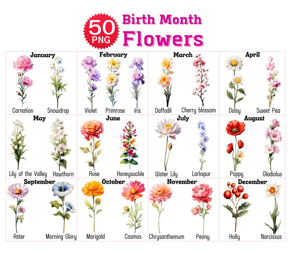 50 Birth Month Flowers Clipart, Watercolor Floral PNG, Birth Month ...
