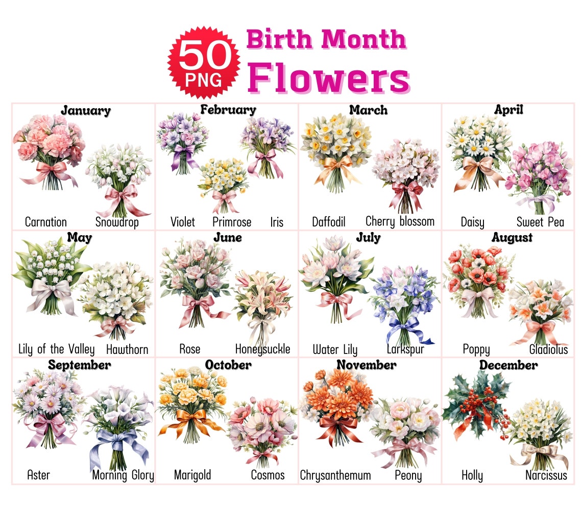 50 Birth Month Flowers Clipart, Watercolor Floral PNG, Birth Month ...