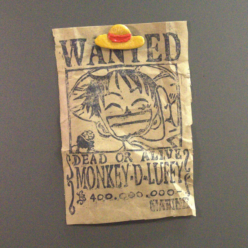 Fridge Magnets One Piece - Etsy