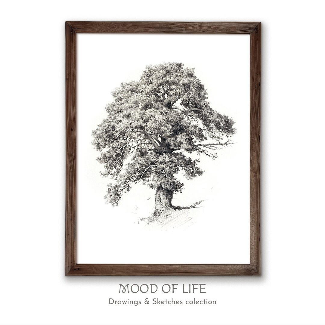 PRINTABLE Antique Oak Tree Drawing Old Tree Sketch Print Simple Neutral ...