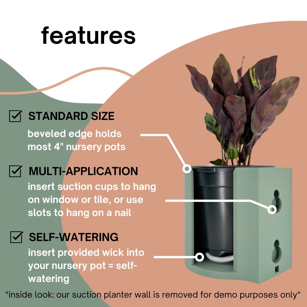 The Original Suction Planter: Matte Grey Hangs on Tile, Window, Drywall ...