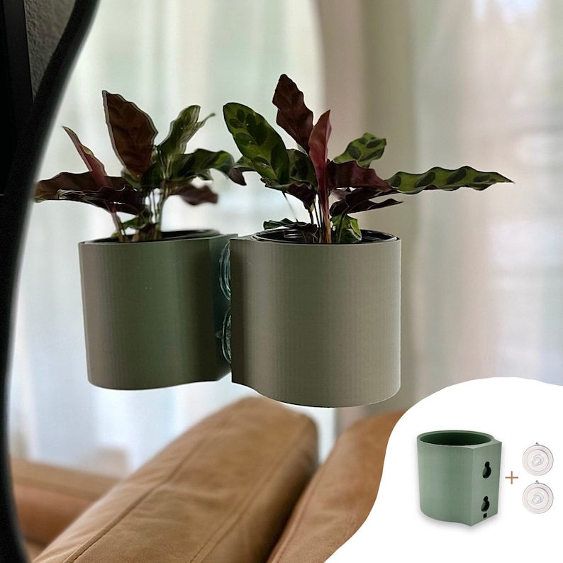 Suction Planter: Muted Green Self-watering Wall Decor - Etsy