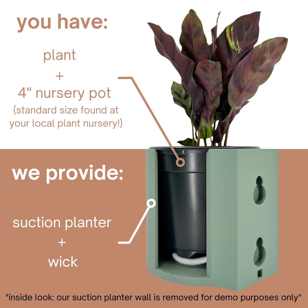 The Original Suction Planter: Matte Grey Hangs on Tile, Window, Drywall ...