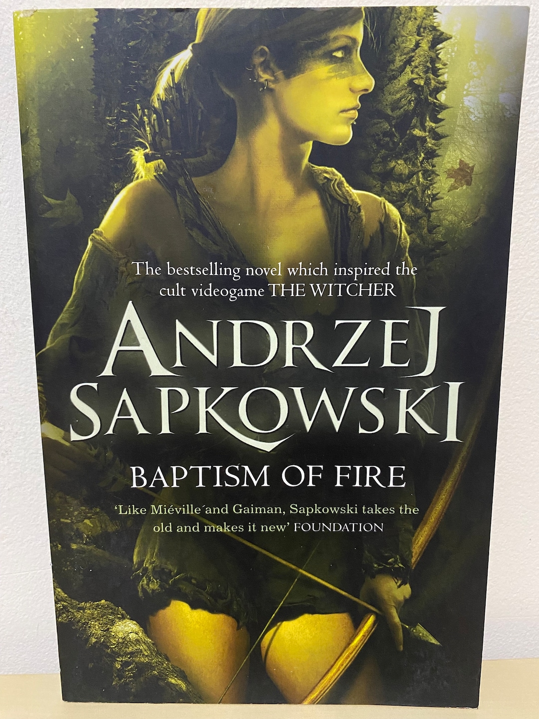 Baptism of Fire, Andrzej Sapkowski, Witcher Third Book English ...
