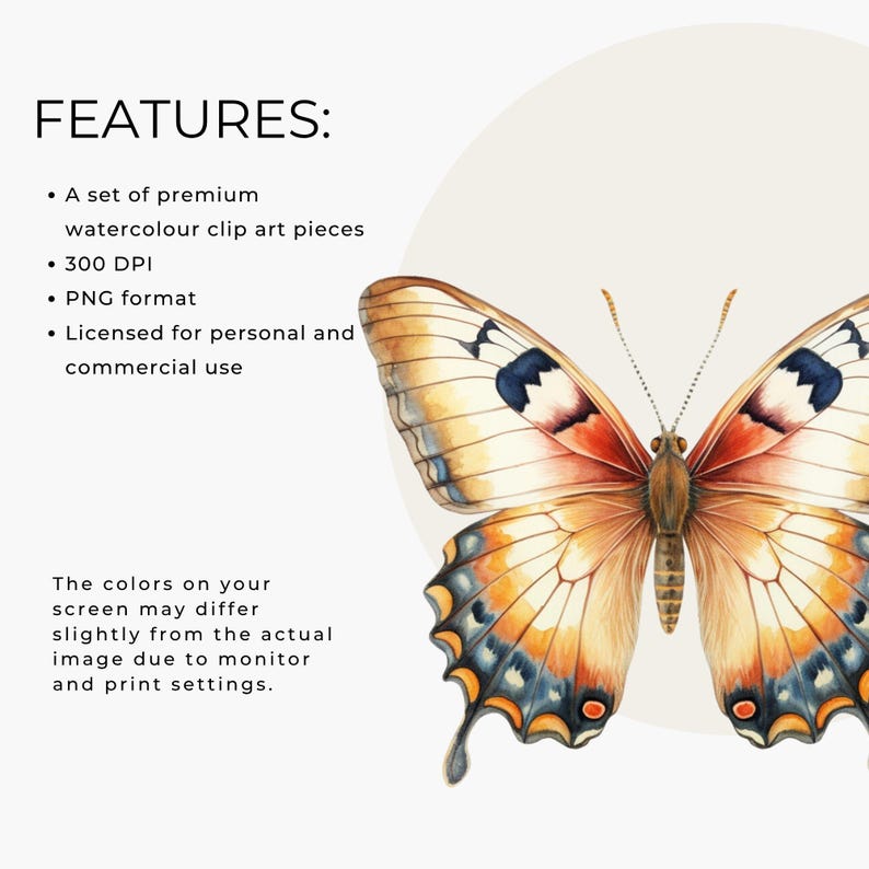 Creepy Crawlies Clipart Set, Clipart Bundle, Watercolour Bugs, Insects ...