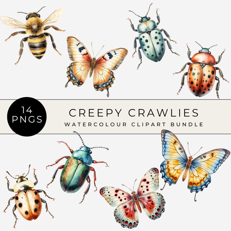 Creepy Crawlies Clipart Set, Clipart Bundle, Watercolour Bugs, Insects ...