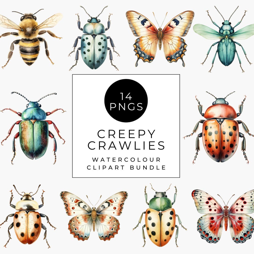 Creepy Crawlies Clipart Set, Clipart Bundle, Watercolour Bugs, Insects ...