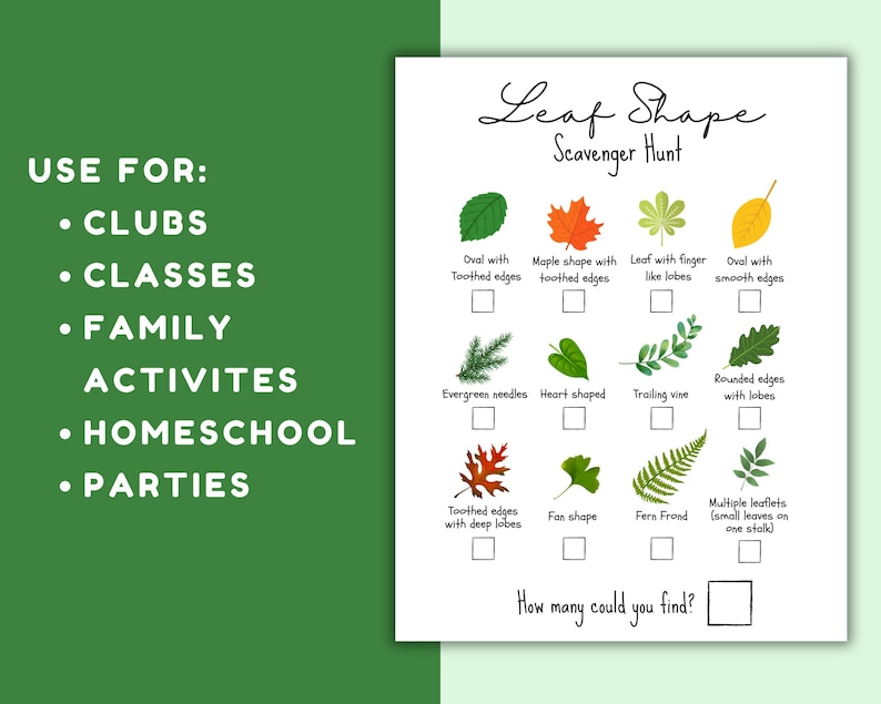 Leaf Shape Nature Scavenger Hunt: Outdoor Activity (digital Download ...