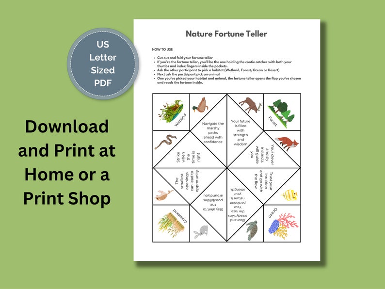 Nature Cootie Catcher, Animal and Habitat Fortune Teller, Summer Camp ...