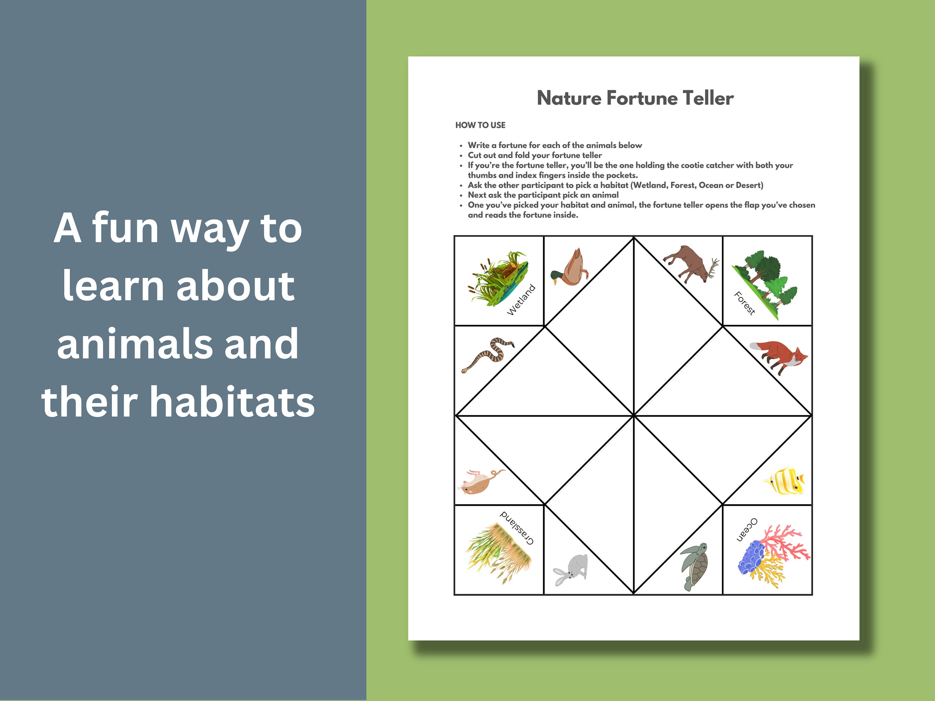 Nature Cootie Catcher, Animal and Habitat Fortune Teller, Summer Camp ...