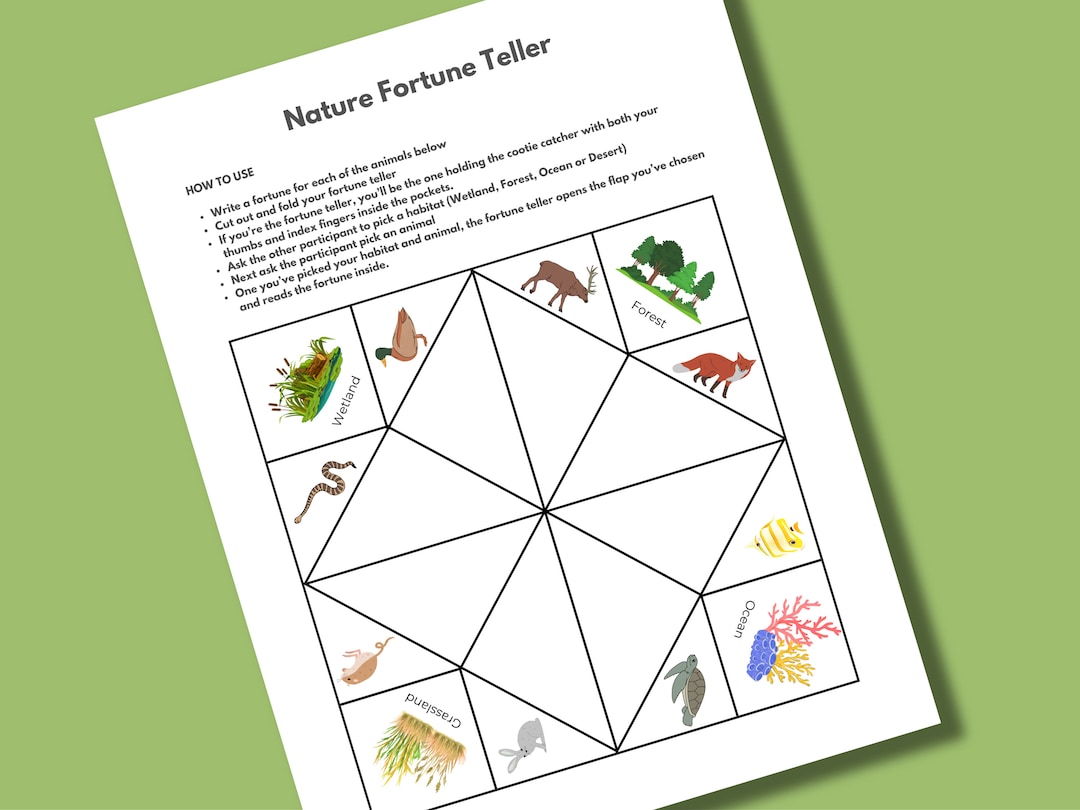Nature Cootie Catcher, Animal and Habitat Fortune Teller, Summer Camp ...