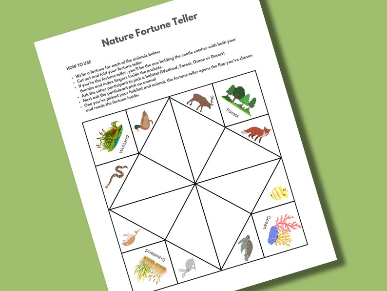 Nature Cootie Catcher, Animal and Habitat Fortune Teller, Summer Camp ...