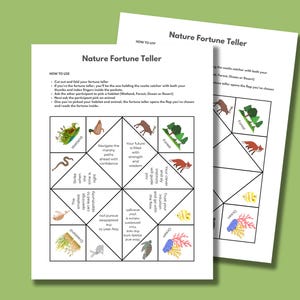 Nature Cootie Catcher, Animal and Habitat Fortune Teller, Summer Camp ...