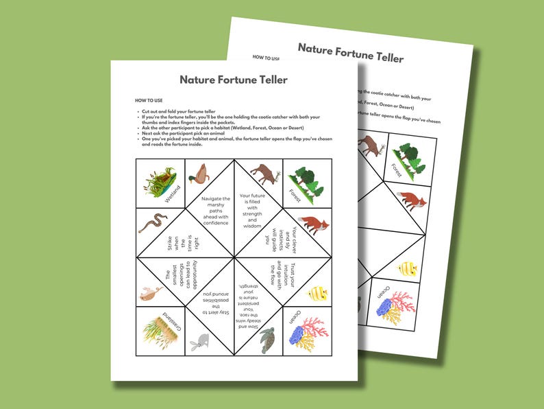 Nature Cootie Catcher, Animal and Habitat Fortune Teller, Summer Camp ...