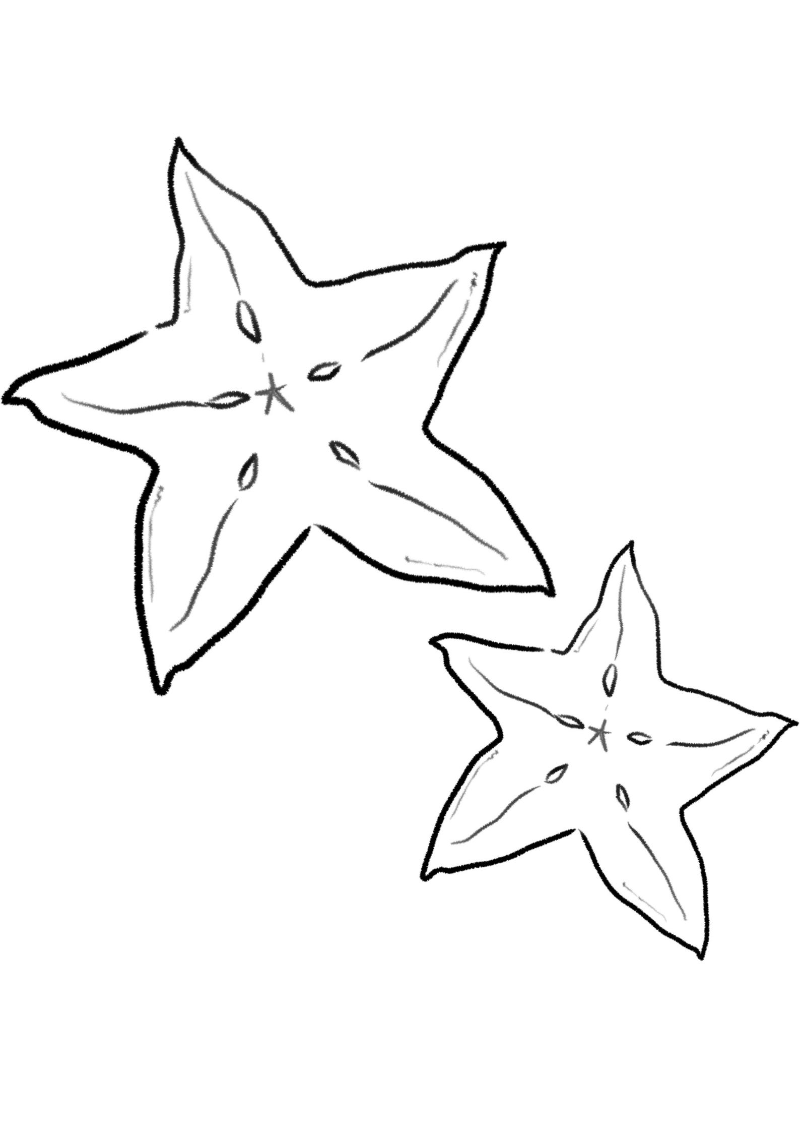 20 Hand Drawn Fruits Doodles Clipart for Decorating PNG Bundle - Hand ...