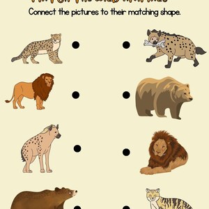 Single Digit Cute Animals Matching Picture Frames,printable Matching ...