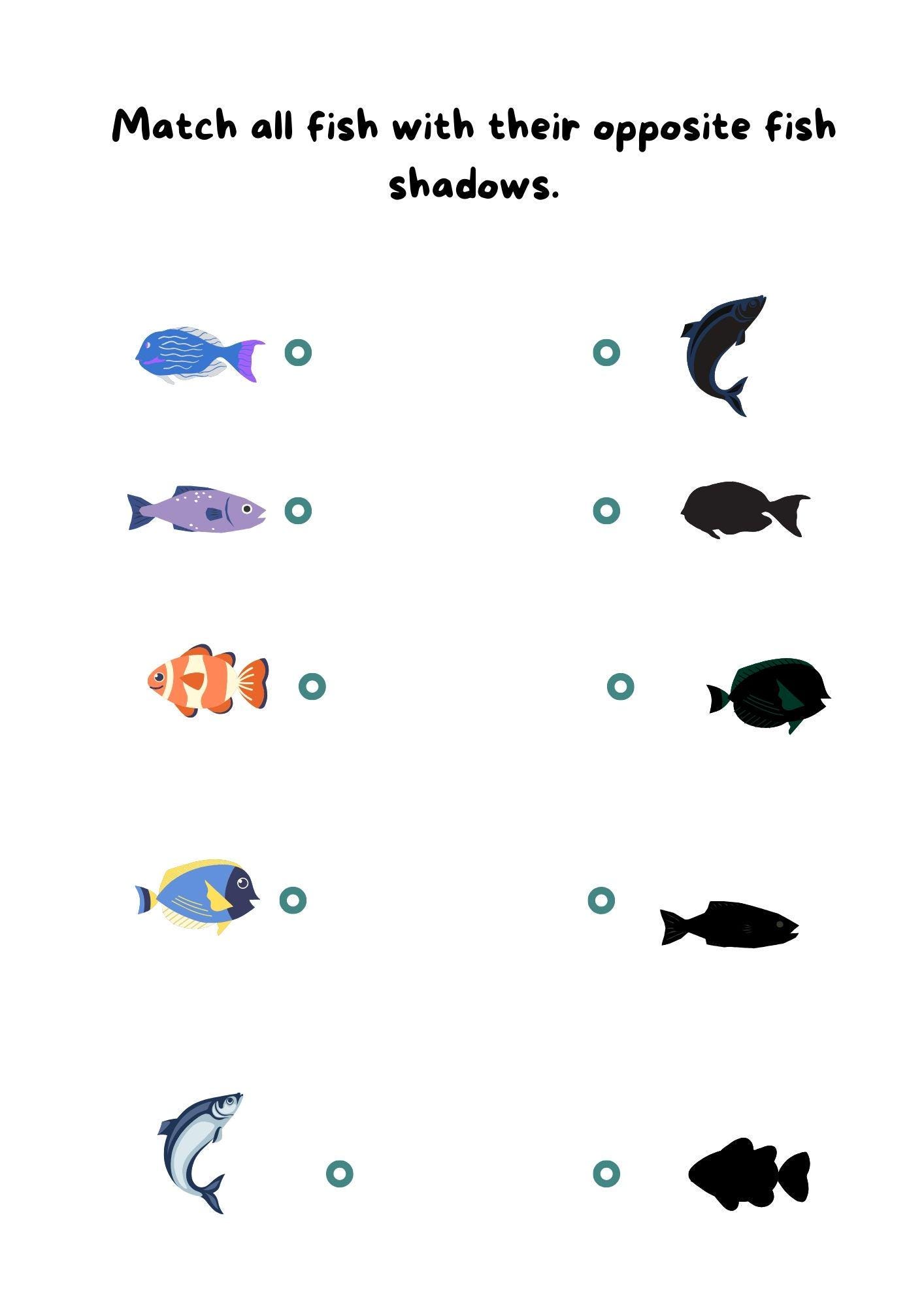 Preschool Matching Worksheets: Line Tracing, Picture Match - Etsy