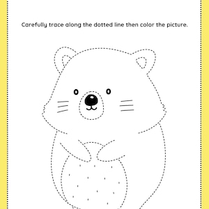 Animal Tracing Worksheets: Preschool Learning Printable - Etsy