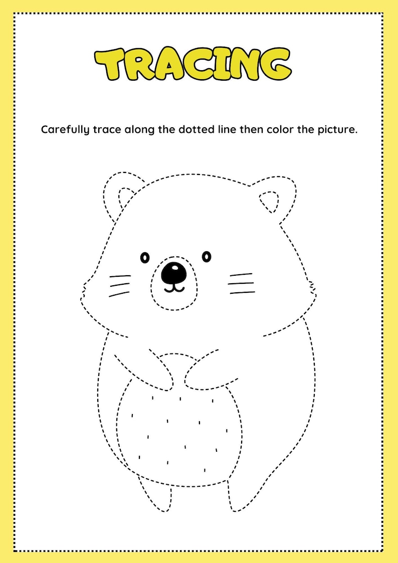 40 Animal Tracing Tracing Worksheets, Printable Preschool Trace Pages ...