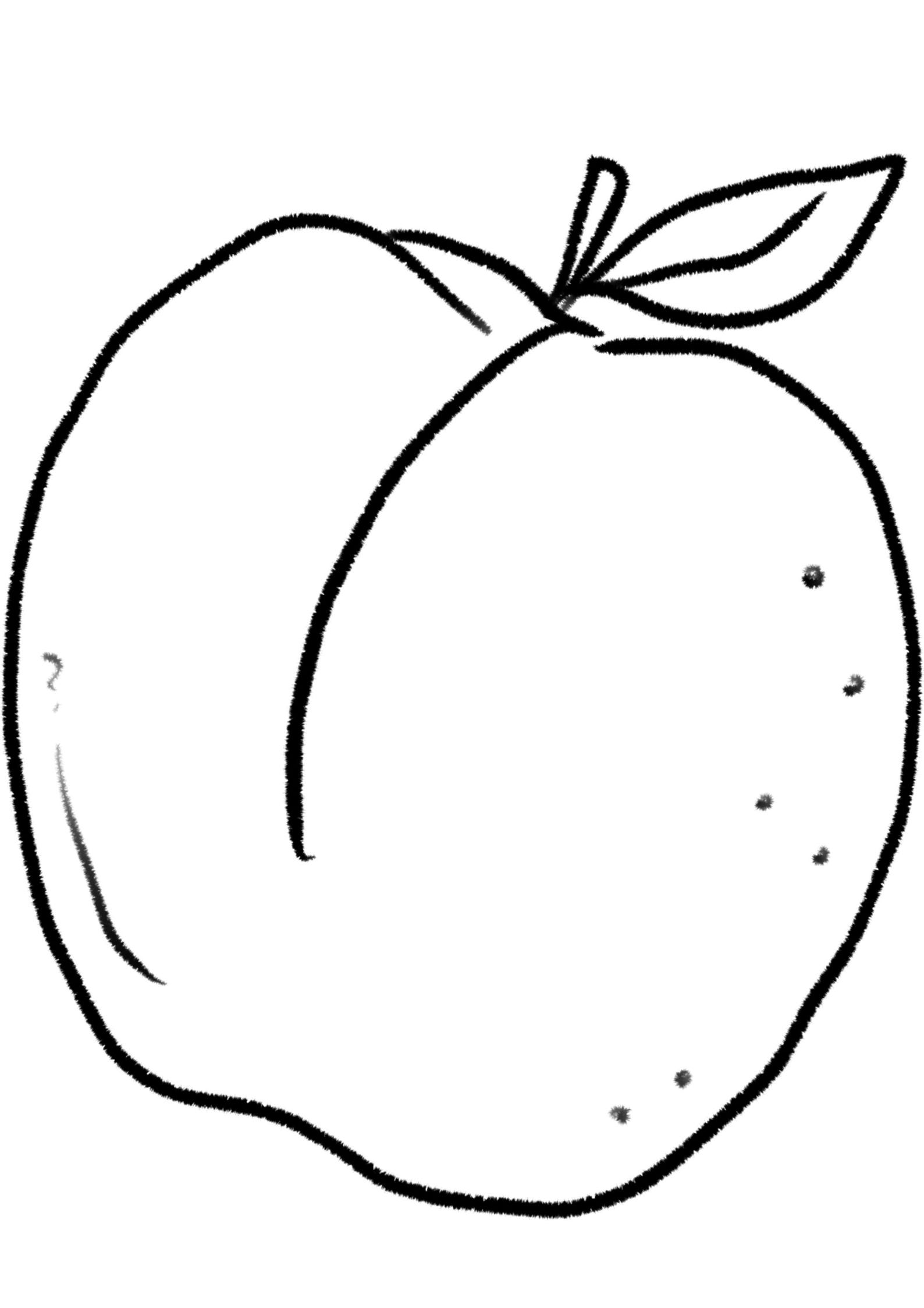 20 Hand Drawn Fruits Doodles Clipart for Decorating PNG Bundle - Hand ...