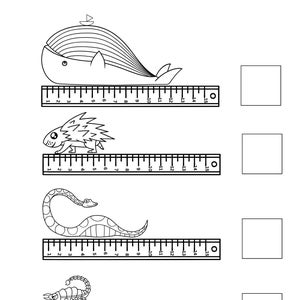 16 Printable Measuring With a Ruler Worksheets. Preschool-1st Grade ...