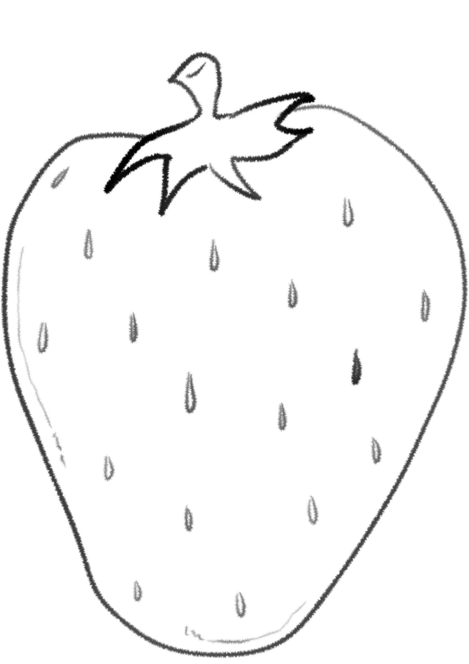 20 Hand Drawn Fruits Doodles Clipart for Decorating PNG Bundle - Hand ...