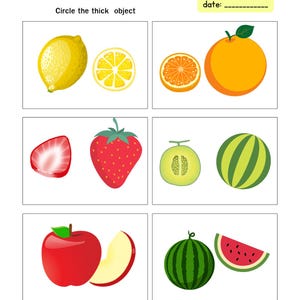 Big and Small Preschool Worksheets: Learning Sizes Printable (PDF) - Etsy