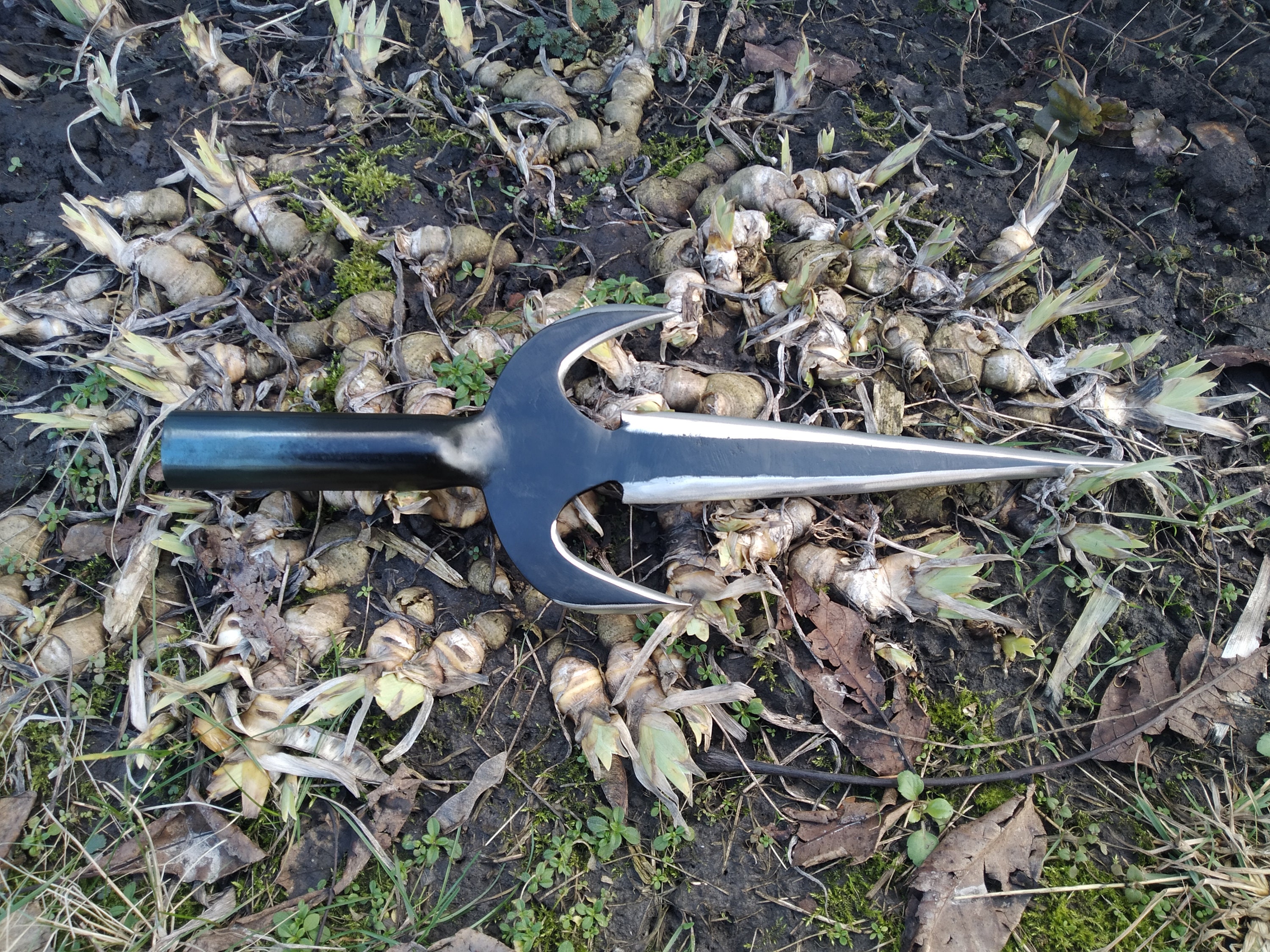 Medieval Spear. Unique Spear. Spear of the Royal Guard. Collector's ...