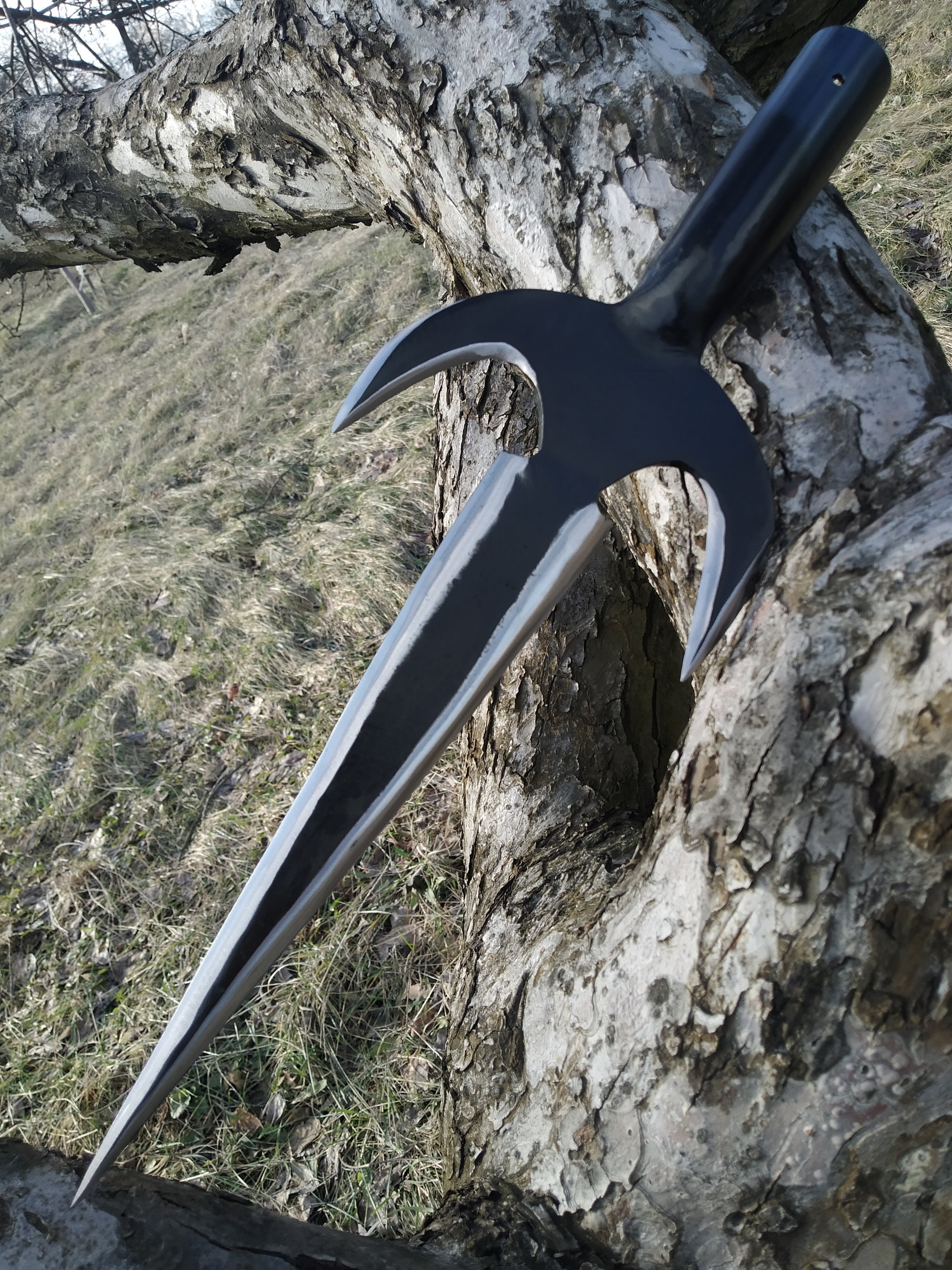 Medieval Spear. Unique Spear. Spear of the Royal Guard. Collector's ...