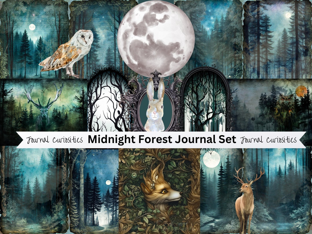 Midnight Forest Journal Set - Etsy