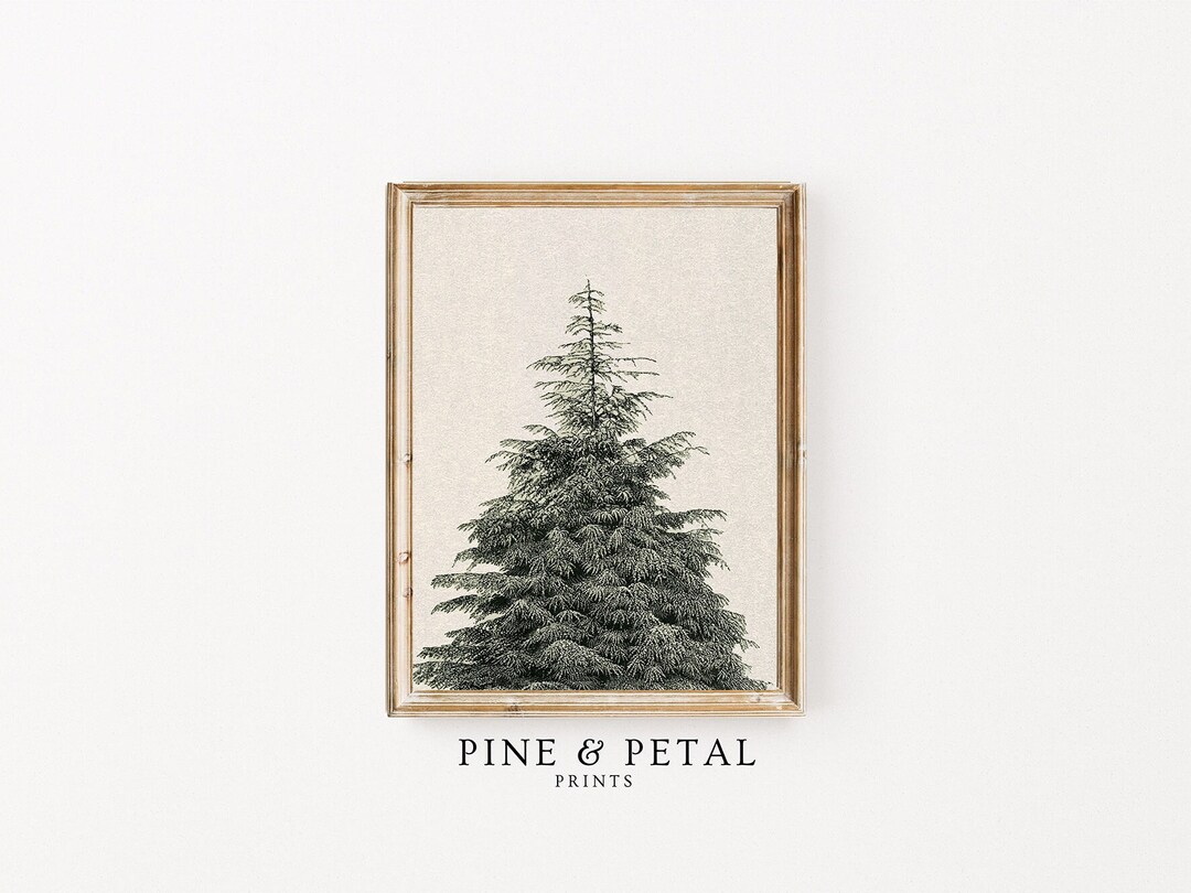 Christmas Pine Tree Wall Art Print, Forest Tree Printable, Rustic ...