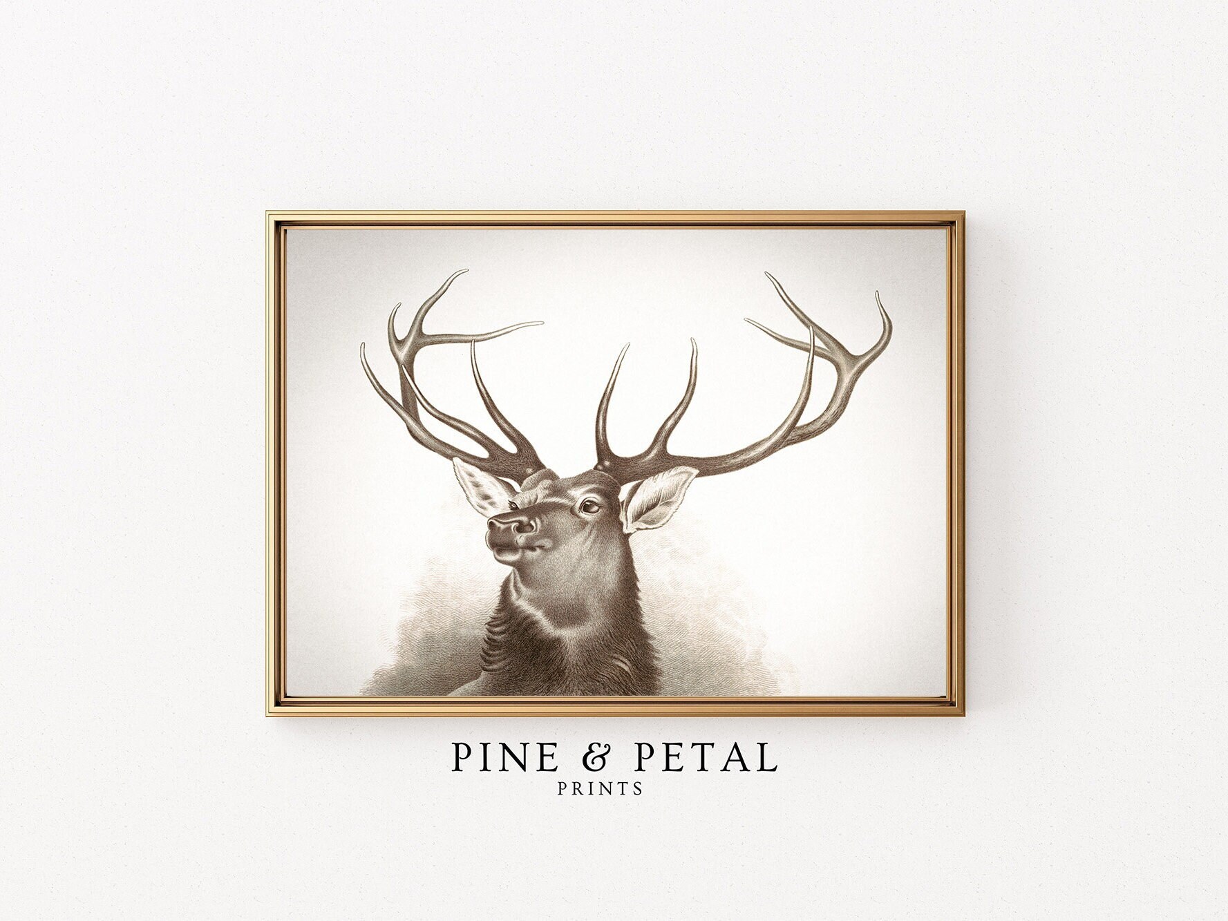 Rustic Deer Sketch Print, Whitetail Deer Printable, Hunting Elk Wall ...