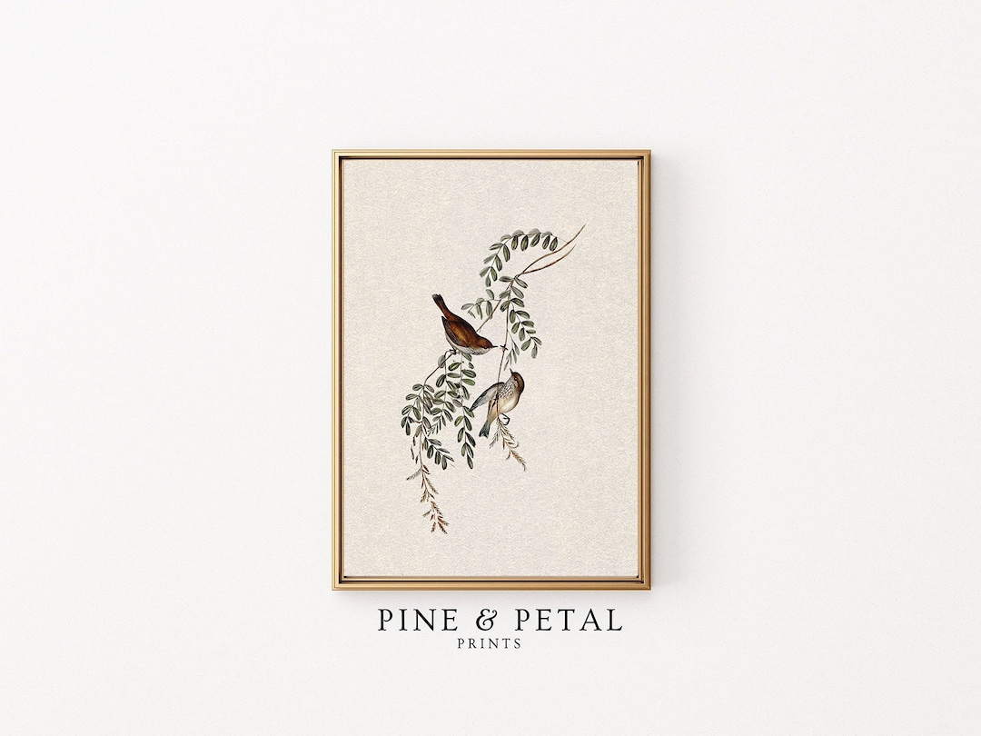 Botanical Bird Art Printable, Winter Vintage Antique Bird Wall Art ...
