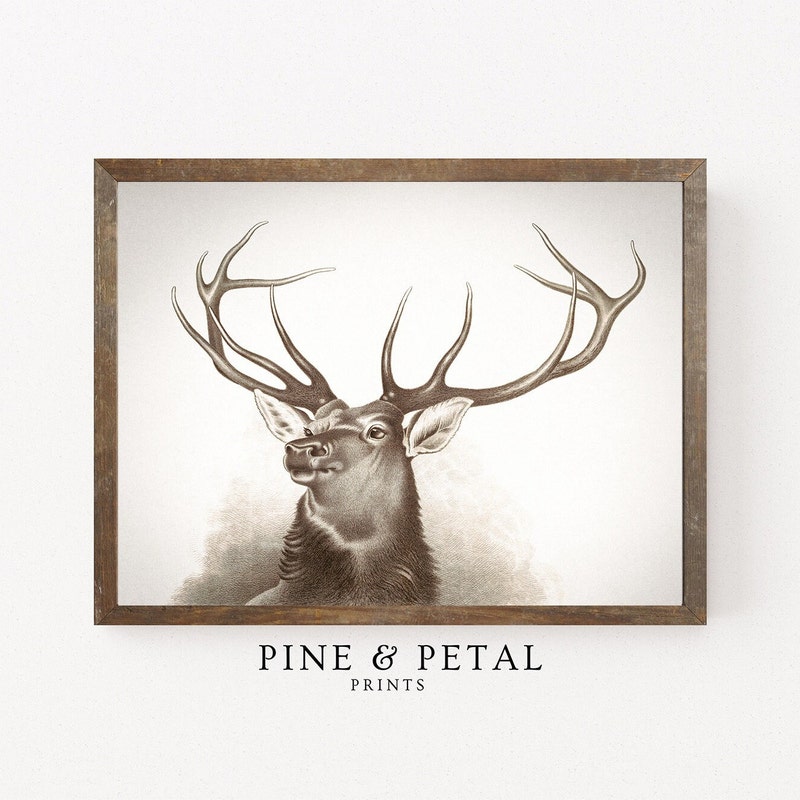 Rustic Deer - Etsy