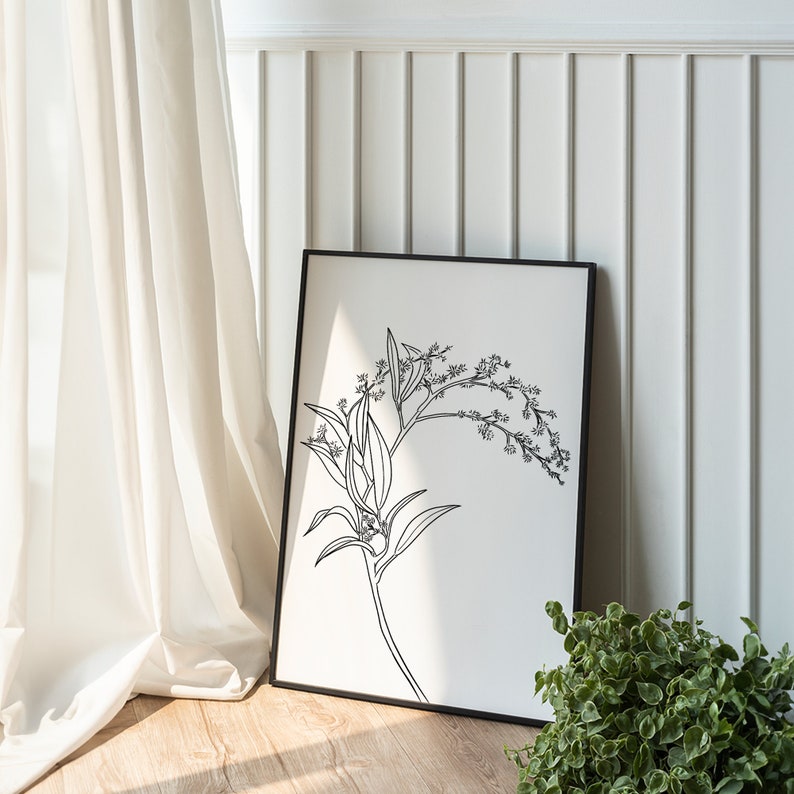 Instant Download Printable Wattle Line Art Australian Native Floral ...