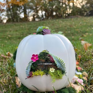 Magical Pumpkin Home, Light Up, Miniature Woodround Scene, Indoor Fairy ...