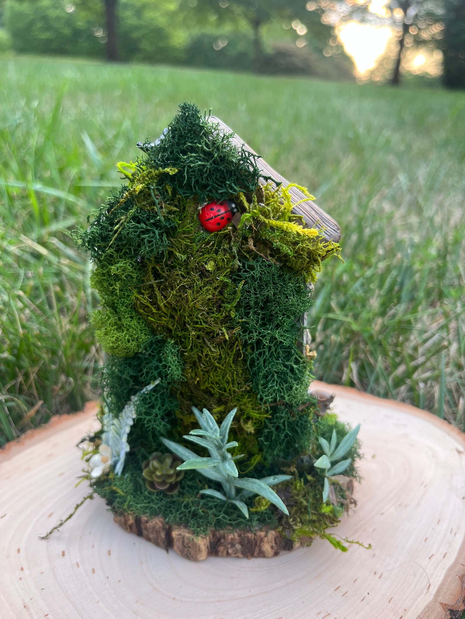 Magical Moss Covered Portal - Etsy