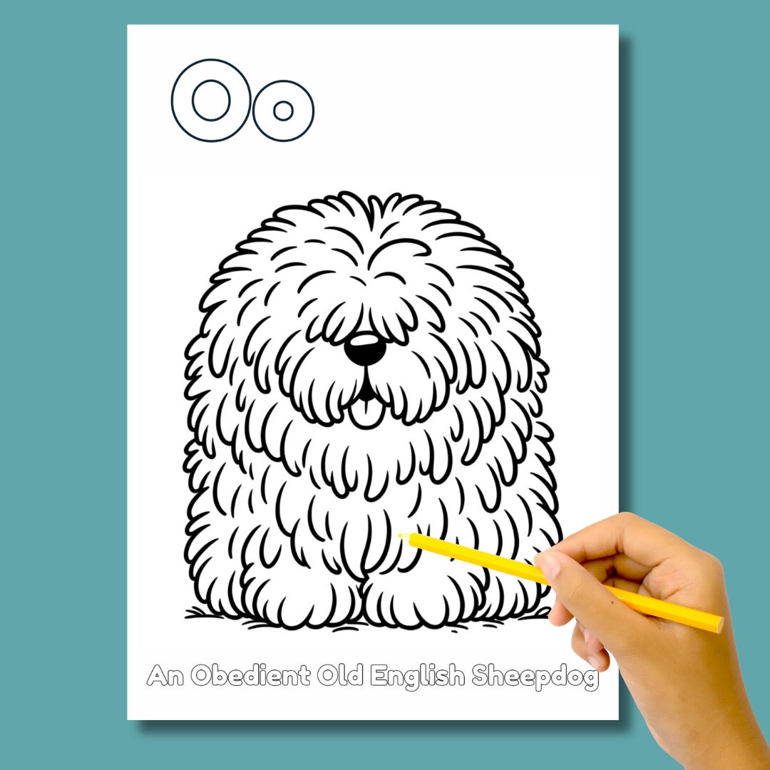 Kids' Colouring Book for Alphabet Learning: Abcs With Dogs - Etsy