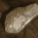 Natural Pakistan Window Quartz; Skeletal Quartz; Smoky Quartz ...