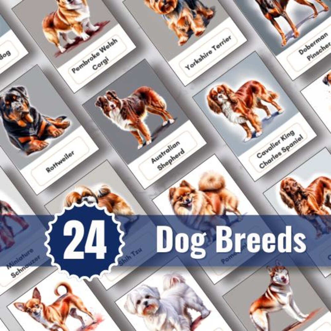 Dog Breeds Flashcards – Watercolor Printable Learning Cards for Kids - Etsy