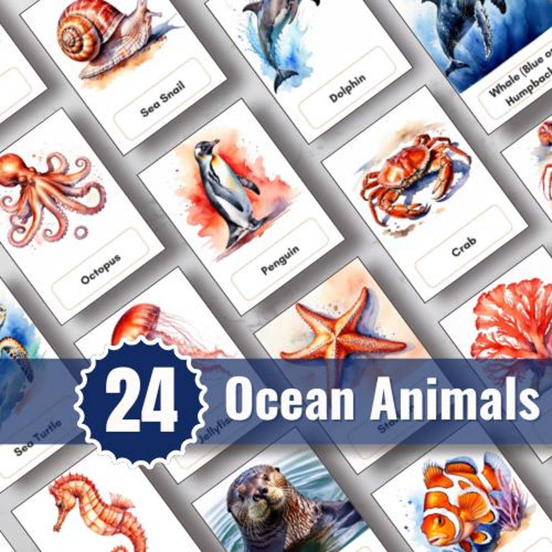 Ocean Animals Flashcards for Kids – A6 Watercolor Printable Educational ...