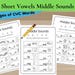 Phonics Worksheet, Middle Sound Worksheets, Write the Missing Letter ...