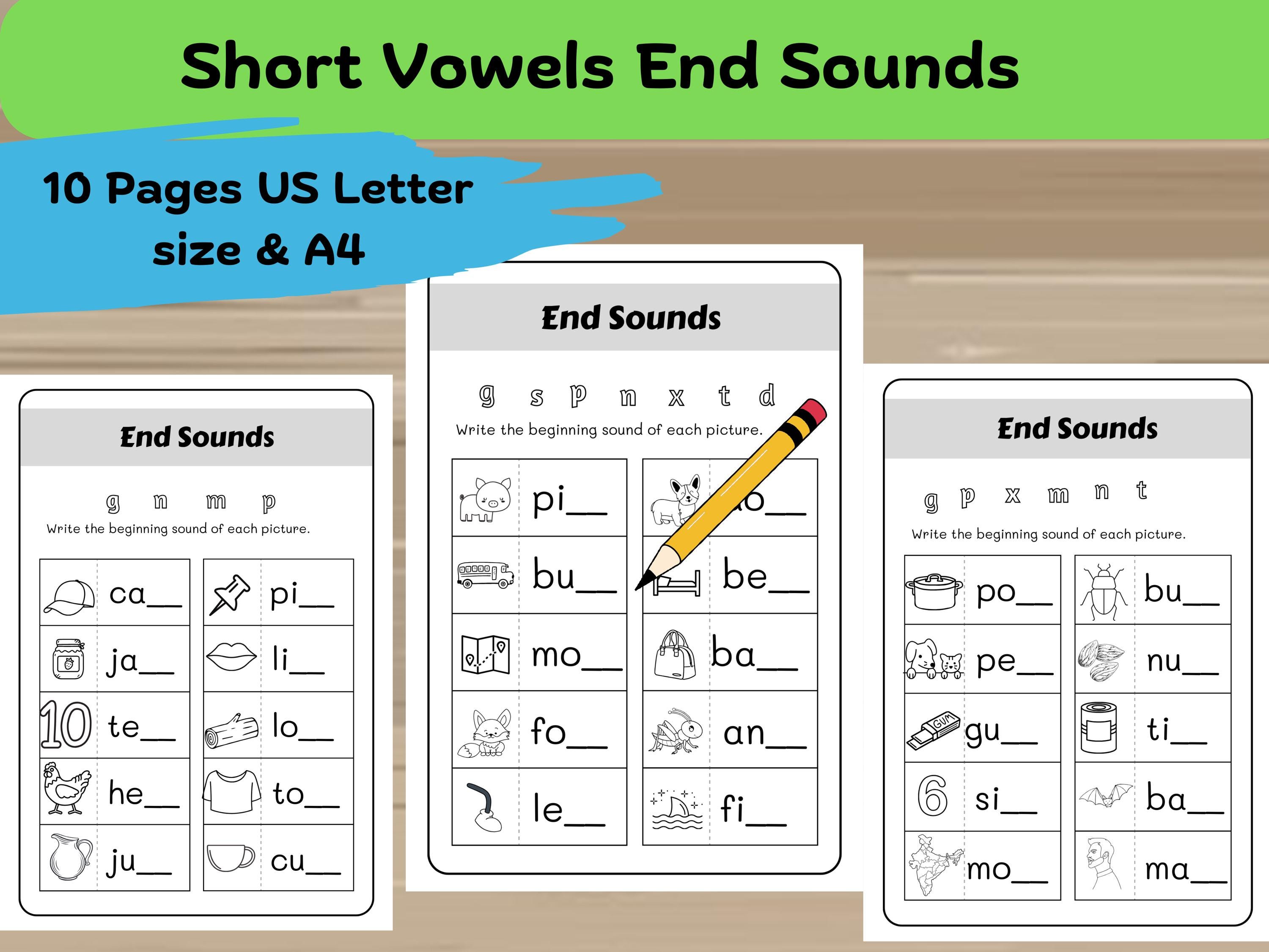 EYFS Phonics, CVC Words Printable, Learn to Read, Phonics CVC Word End ...