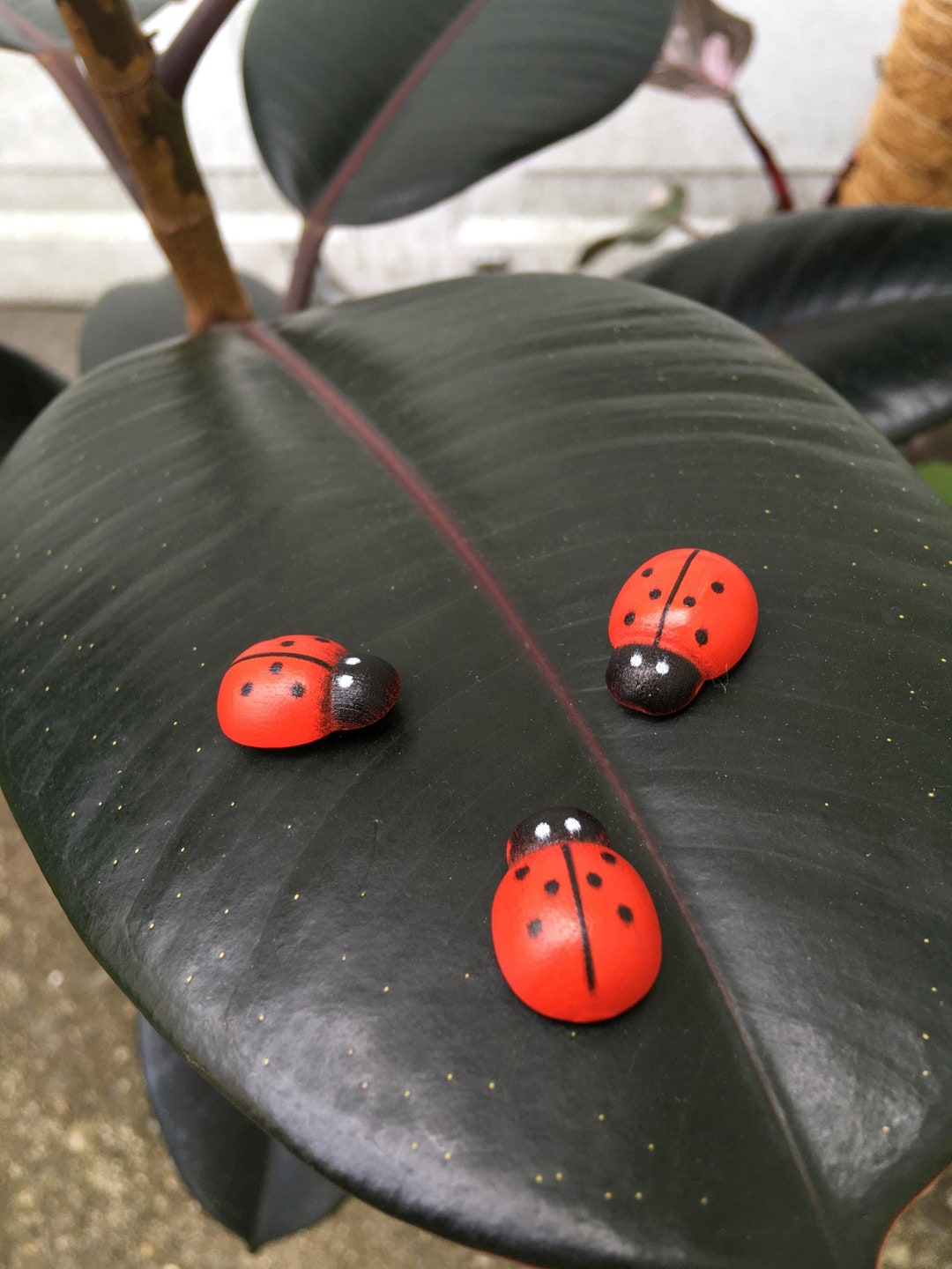 20 Mini Lady Bugs Plant Accessory Decor, Fairy Garden Miniature Lady ...