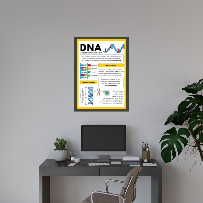 DNA Poster Educational Digital Download Printable Science - Etsy
