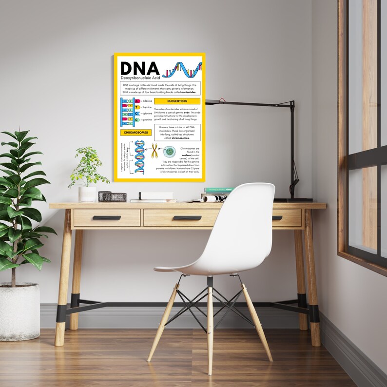 DNA Poster Educational Digital Download Printable Science - Etsy