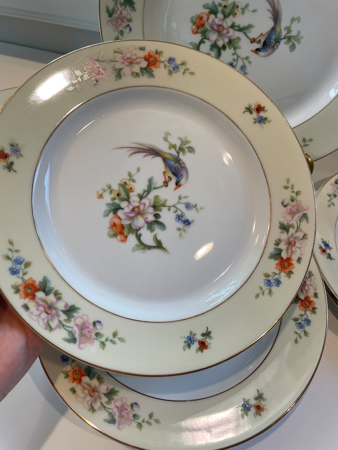 Heinrich & Co Songbird Plates Made in Selb Bavaria - Etsy